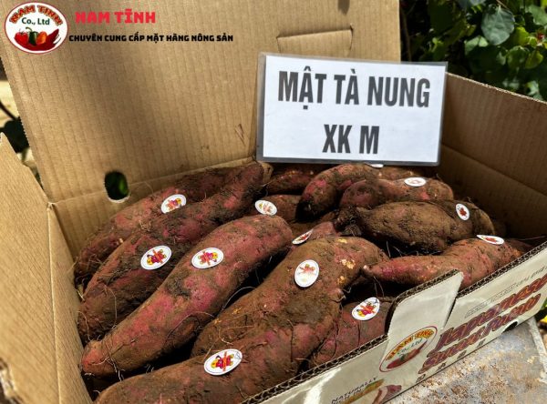 3 giống khoai lang Đà Lạt tiêu chuẩn xuất khẩu tại Nam Tĩnh