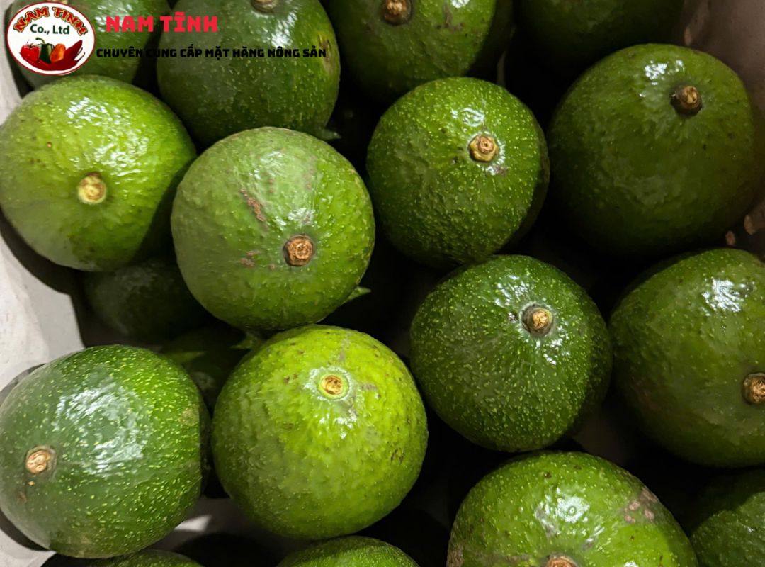 Bơ booth xuất khẩu -Địa chỉ mua bơ booth uy tín tại Lâm Đồng 2025 - Nam ...